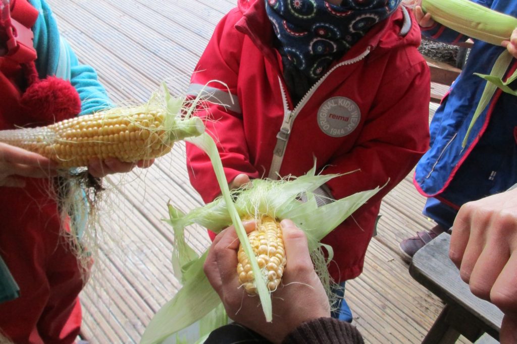Der Sommer geht vorüber... -Waldkindergarten Vier Jahreszeiten e.V. Hennef